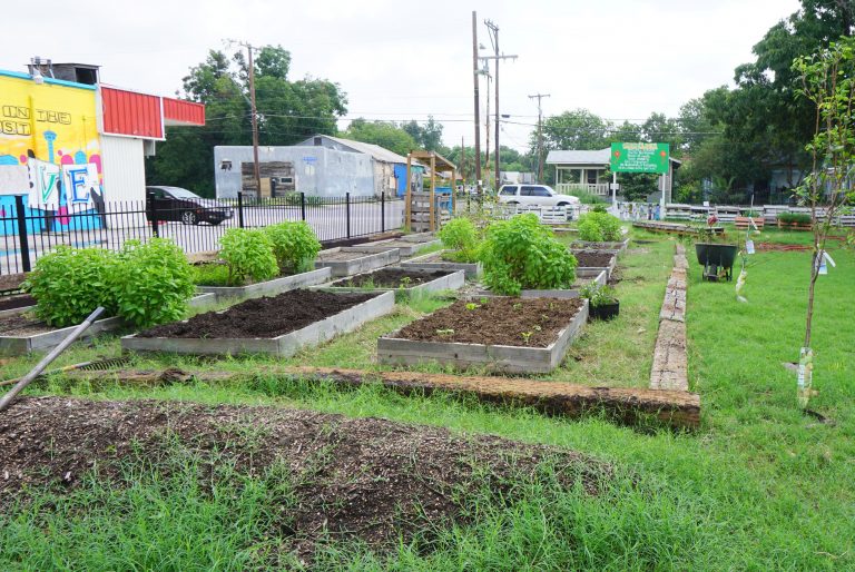More About The Eastside Urban Farm, Gardopia Garden - Edible San Antonio