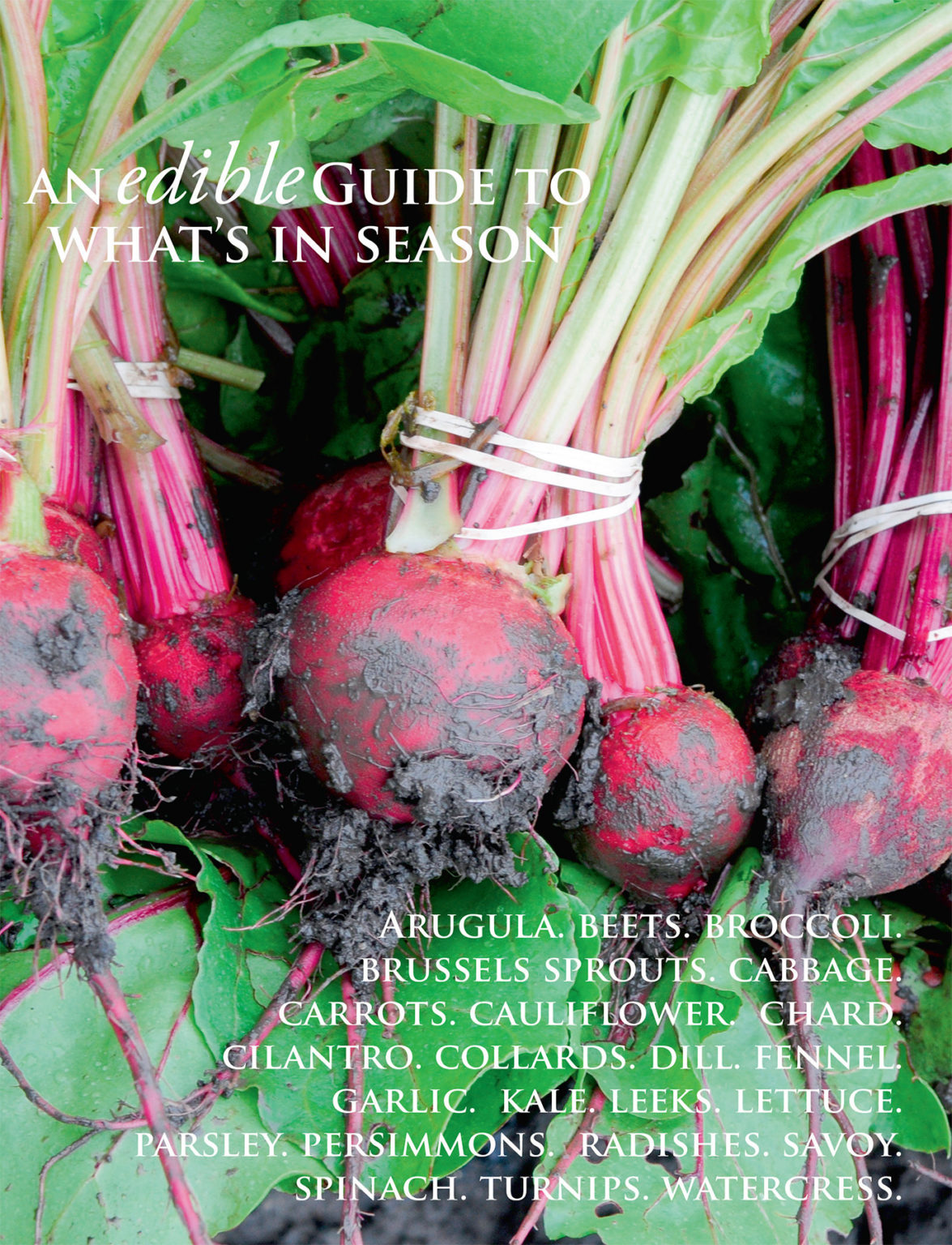 An Edible Guide to What's in Season - Edible San Antonio