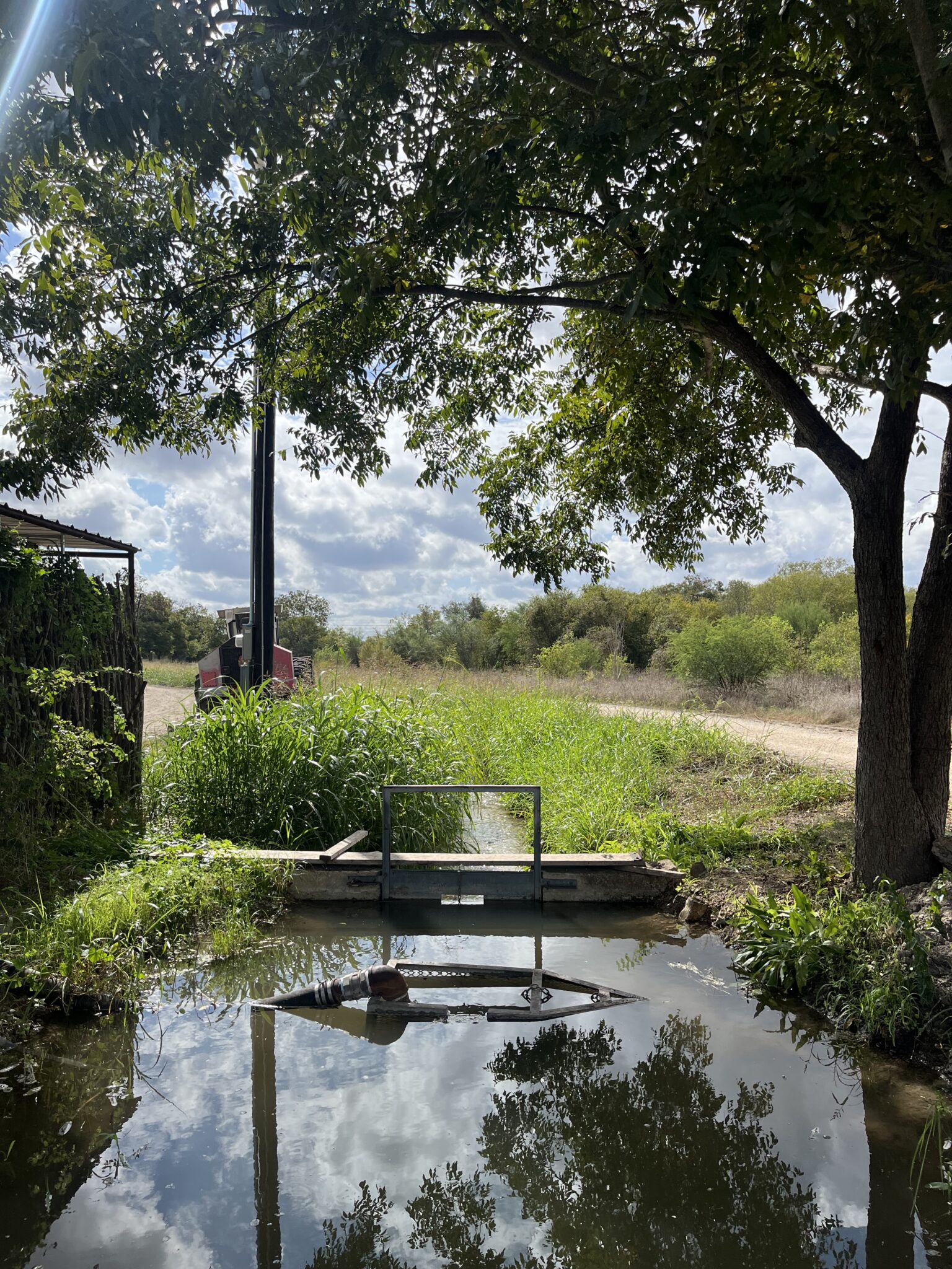 San Antonio Food Bank Mission Farm - Edible San Antonio